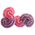 Blueberry Pomegranate THC + CBN Gummies (Spinach FEELZ) • Wiid Boutique ...