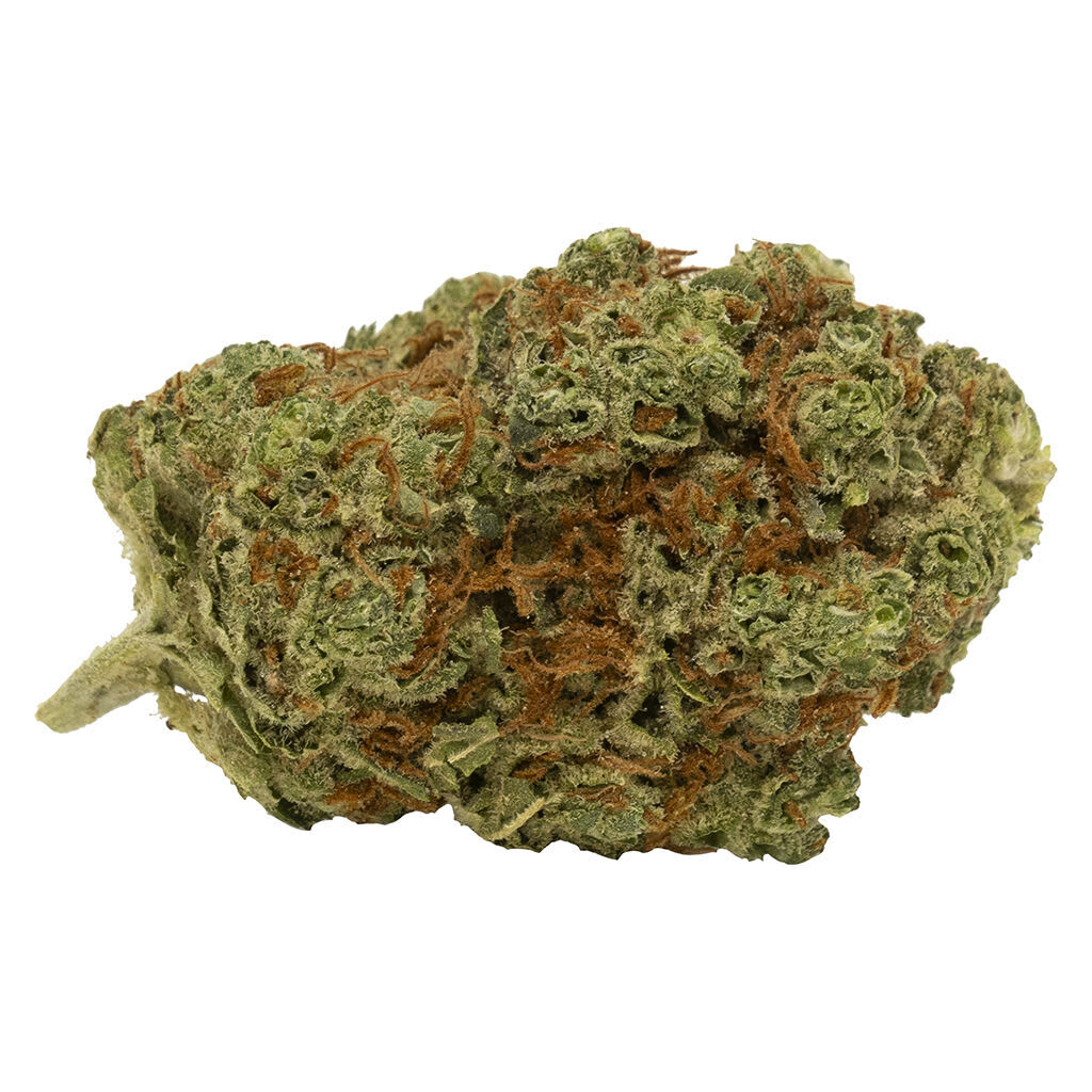 Red Velvet Cake (Tweed) • Wiid Boutique Inc.